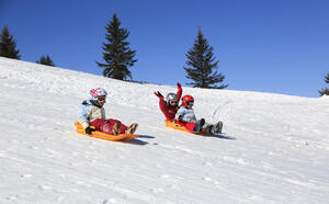 Pistes de luge : Chamonix Mont Blanc